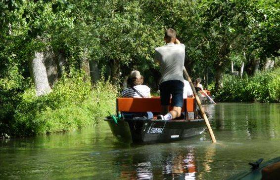 Promenade en barque "tradition " dans le marais poitevin
